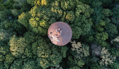 Telenity and Astelit Sign a Four Year Frame Agreement - Telenity Latest ...