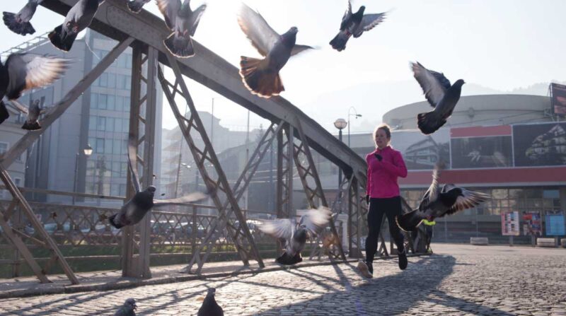 How to increase your revenue with DCB? - Telenity Blog