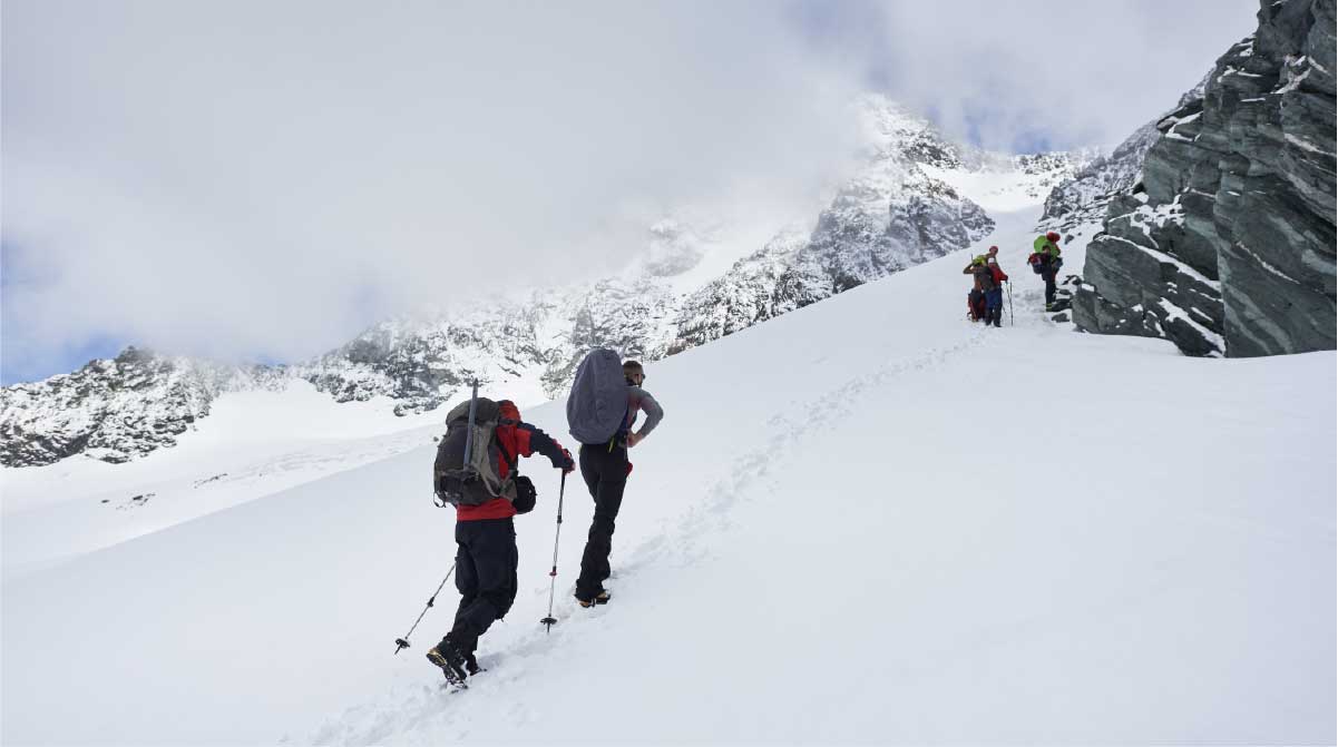 How to manage cold chain logistics in India? - Telenity Blog